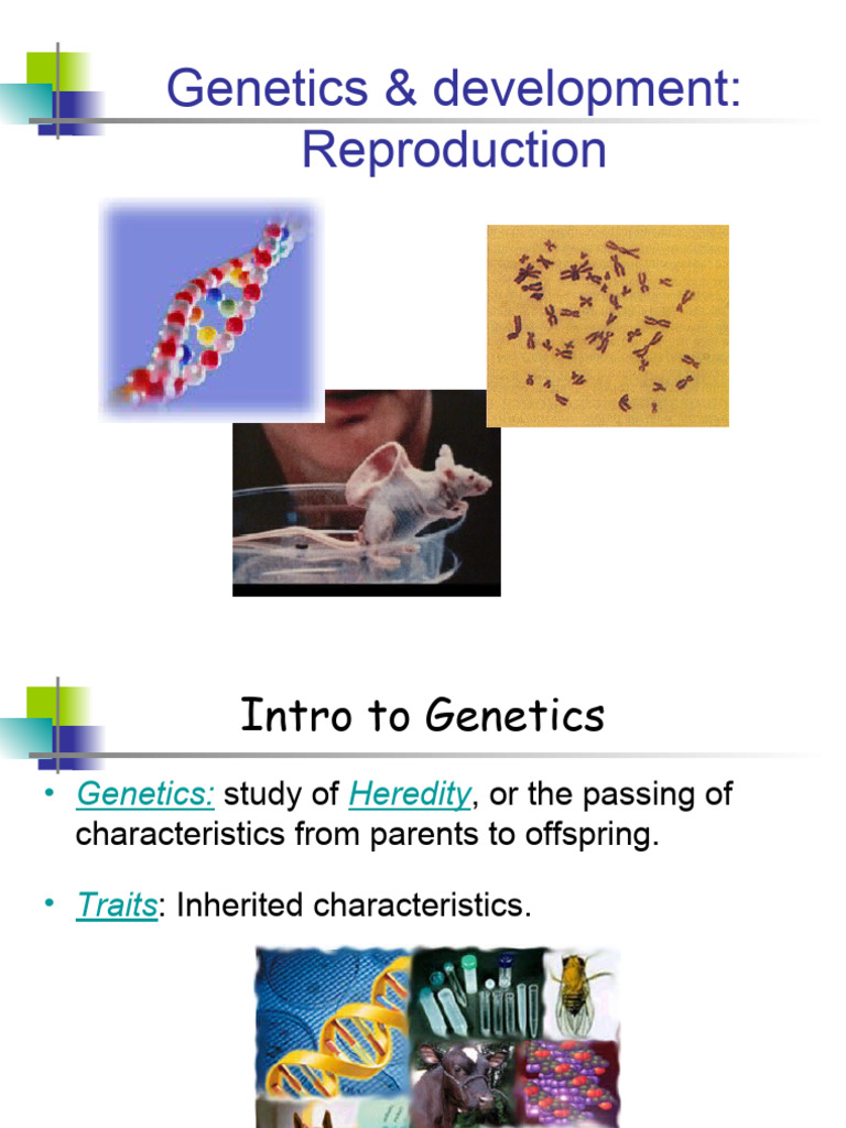 Reproduction: Sexual vs Asexual Methods | PDF | Sexual Reproduction ...