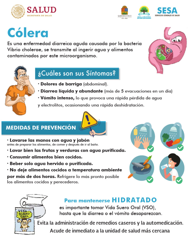 Prevención y tratamiento del cólera | PDF | Diarrea | Alimentos