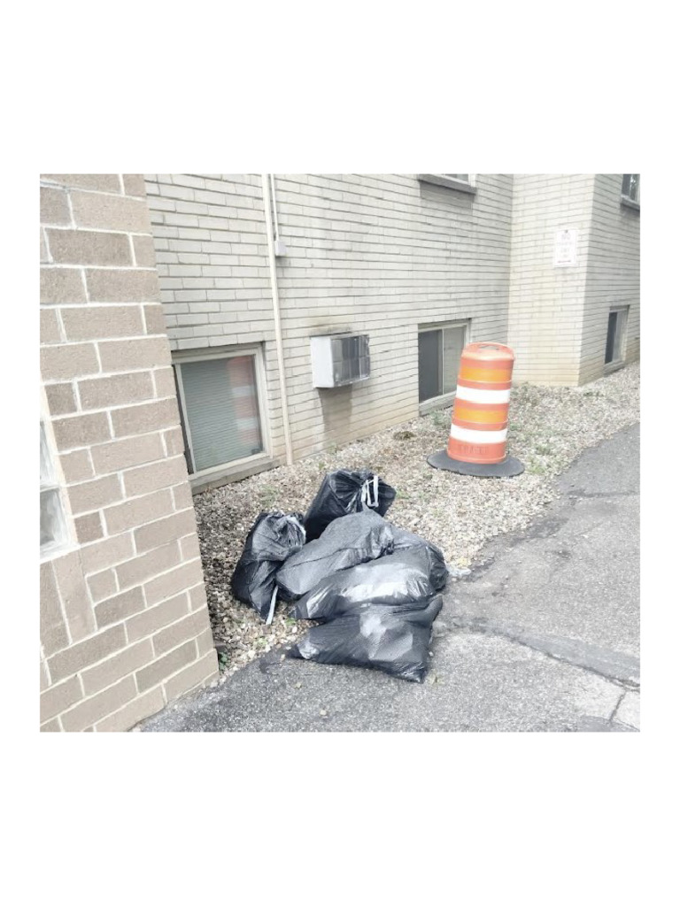 Trash Pile | PDF