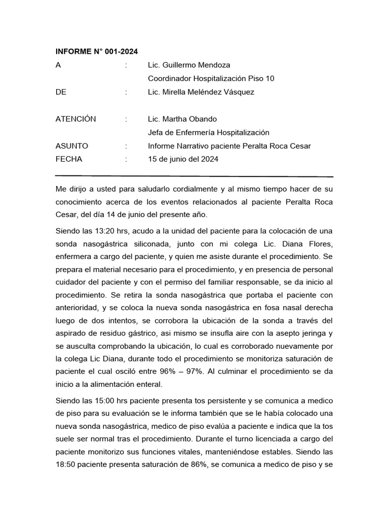 INFORME 01 | PDF