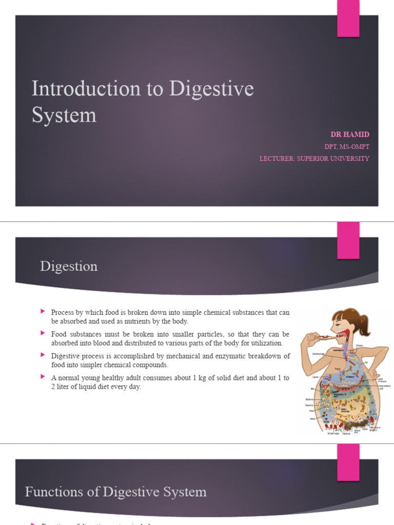 Introduction To GIT Physiology | PDF | Digestion | Gastrointestinal Tract
