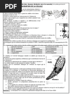 Indications et posologie de Zanitra 5mg | PDF | Médecine | Médecine ...
