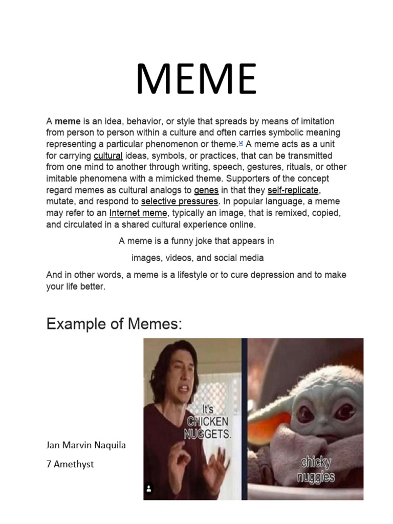 Memes Explained | PDF