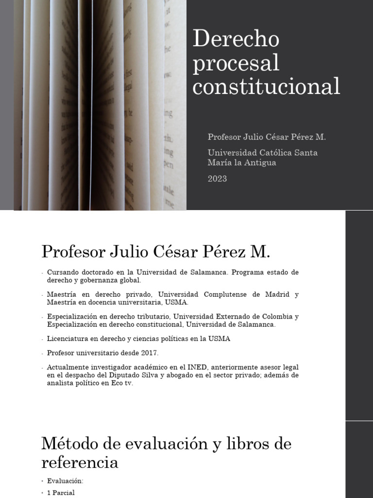 Derecho Procesal Constitucional | PDF | Constitución | Juez