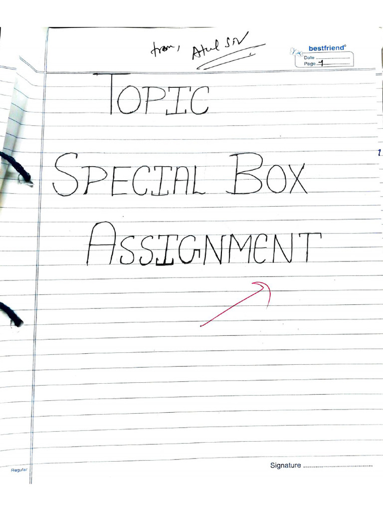 Class 9 Project (Special Box Assignment) | PDF