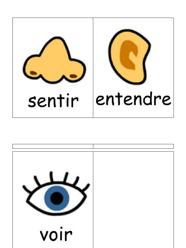 Flashcards 5 Sens | PDF