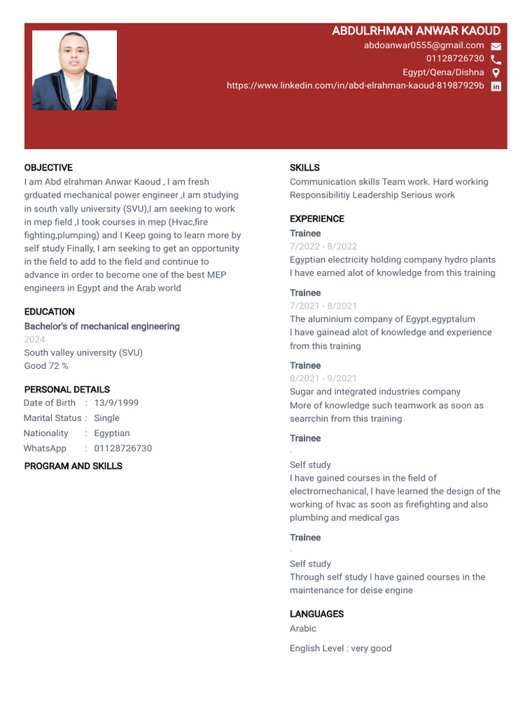 Finally CV | PDF | Engineering