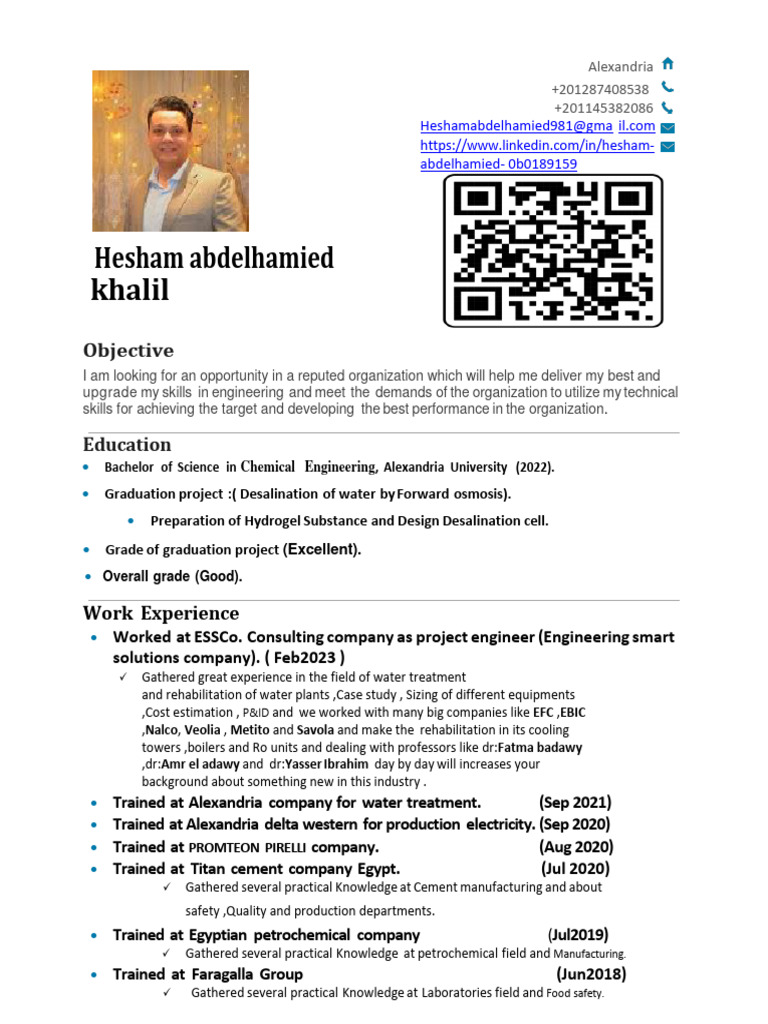Hesham Adelhamied Chemical Engineer CV 2024 | PDF | Engineering | Chemistry