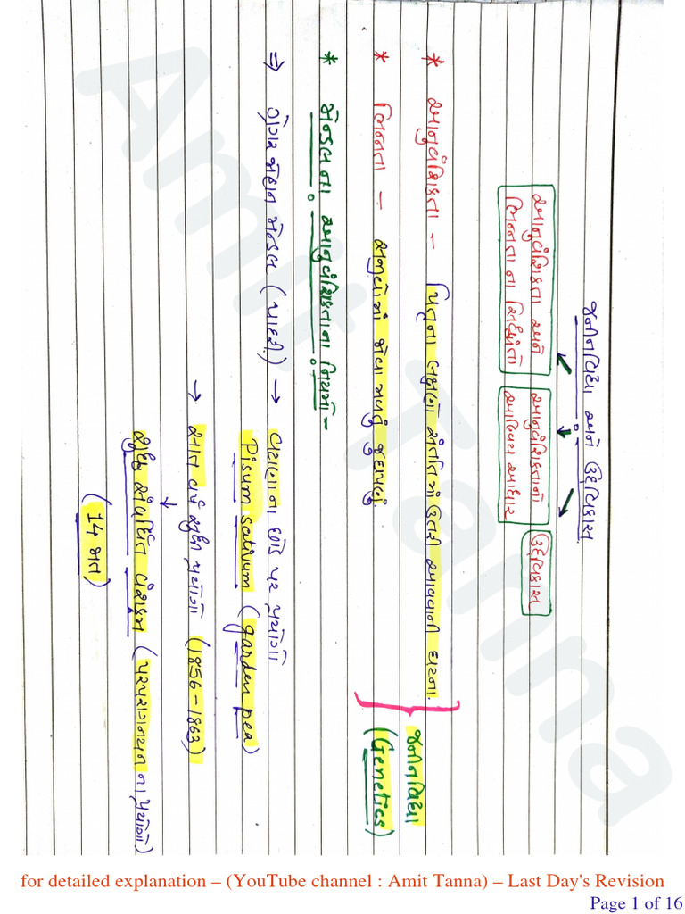 Amit Tanna's Last Day Revision Guide | PDF