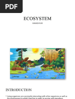 Biosphere To Ecosystem Grade 10 Life Sciences | PDF | Food Web | Soil