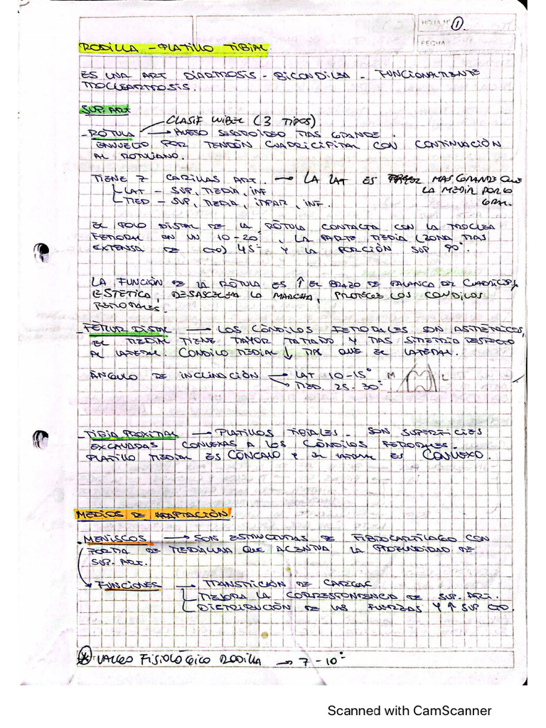 Rodilla + FX Platillo | PDF