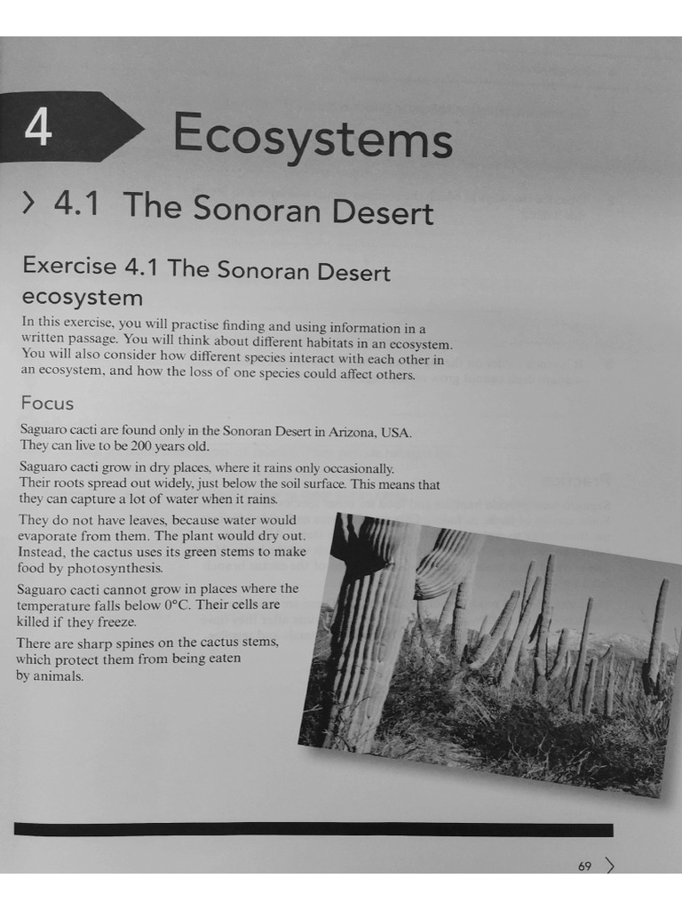 Lucía de La Vega Carrascal - Ecosystems Homework | PDF