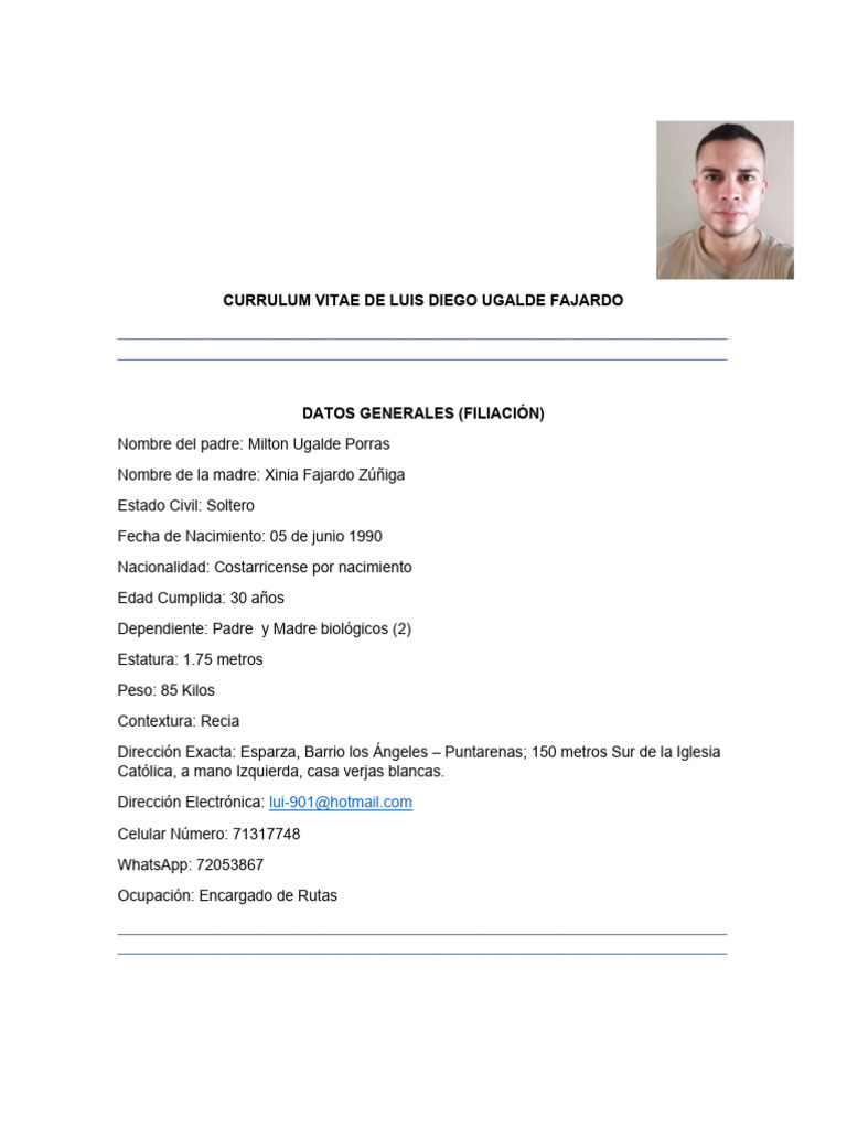 Currulum Vitae de Luis Diego Ugalde Fajardo | PDF