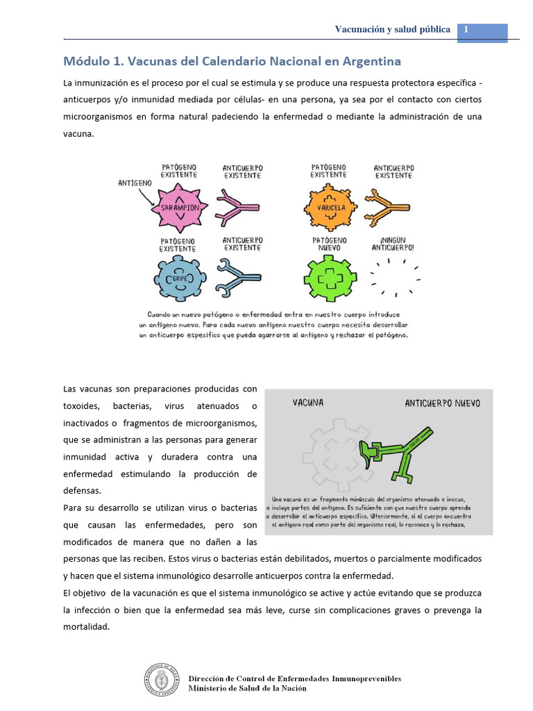 Módulo 1 - Las Vacunas de CNV DiCEI. | PDF | Vacunas | Sistema inmune