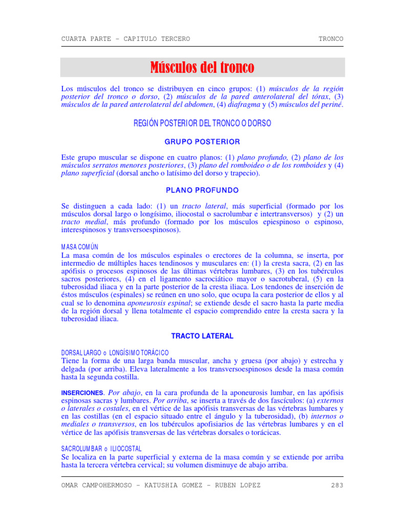 Tronco | PDF | Abdomen | La columna vertebral