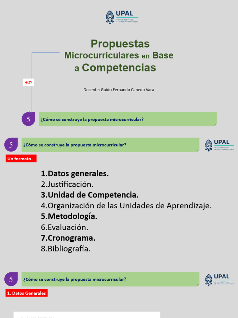 Presentación PPT - Propuesta Microcurricular - Ajustada | PDF | Evaluación | Cognición