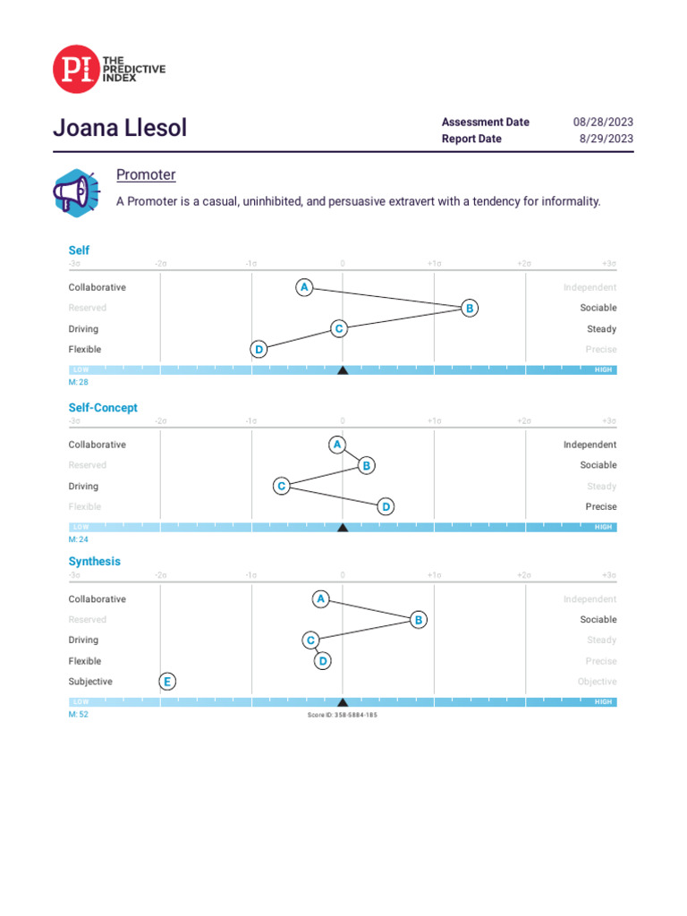 Llesol, Joana - Behavioral Report | PDF | Extraversion And Introversion | Behavioural Sciences