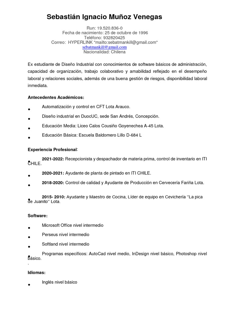 Curriculum Vitae 2023 Sebastián Muñoz | PDF | Arte