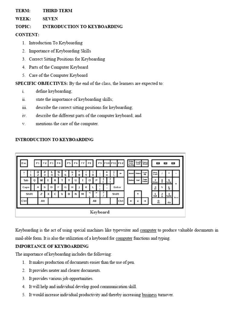 Business Studies - Yr7 | PDF | Computer Keyboard | Computing