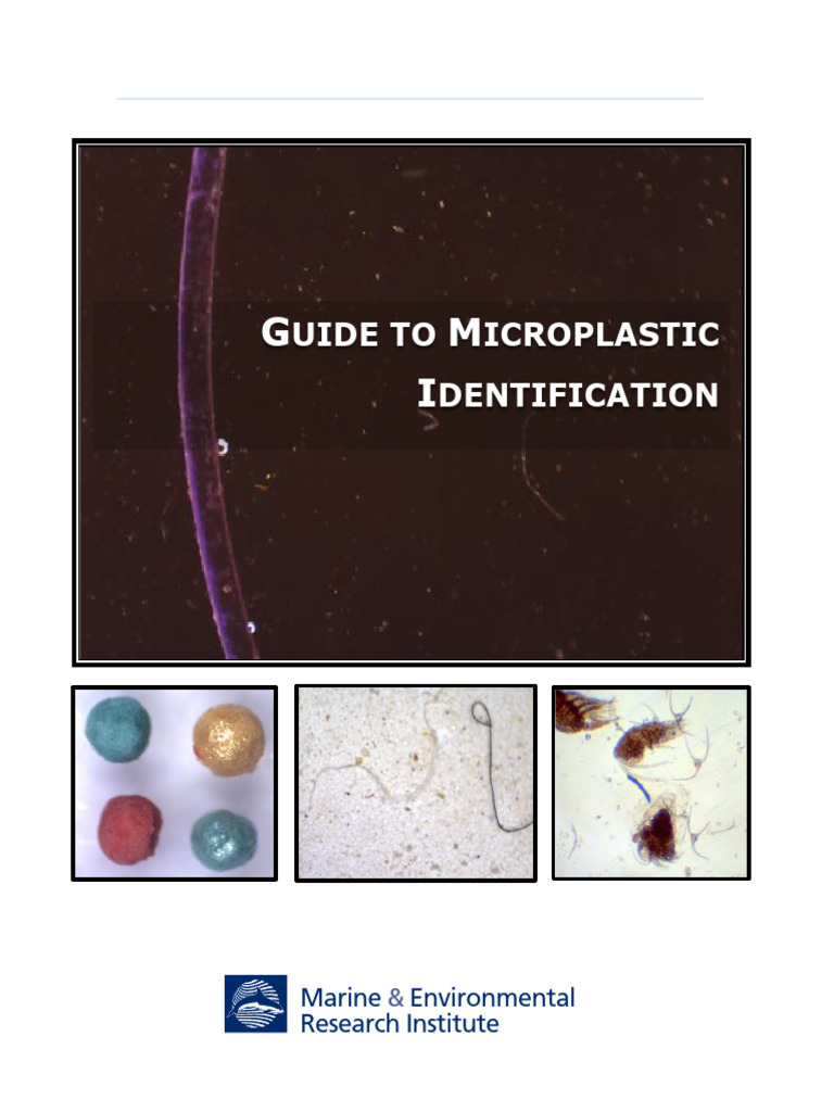 Meri Guide To Microplastic Identification S Pdf Filtration Algae