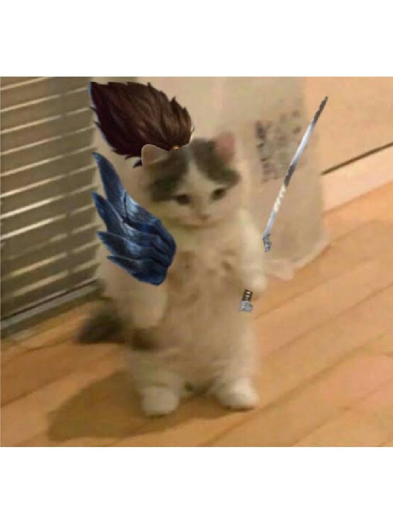 ImageToPDF PDF | PDF