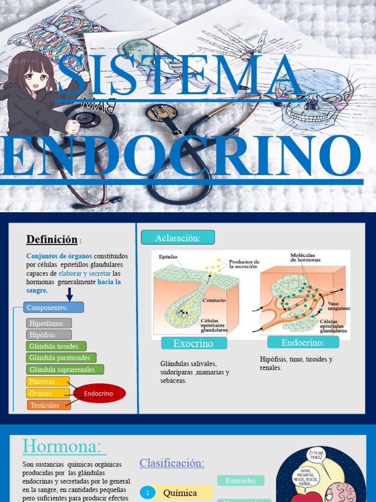 SISTEMA ENDOCRINO | PDF | Hormona estimulante de la tiroides | Sistema endocrino