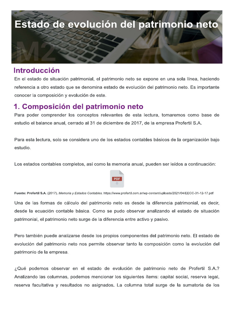 Modelo 2 - Lectura 2 Estado de Evolución Del Patrimonio Neto | PDF