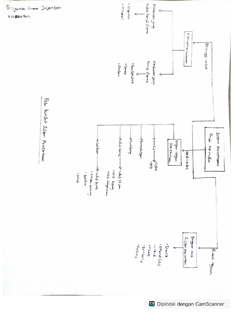 Brilyaniko37 Psiko | PDF