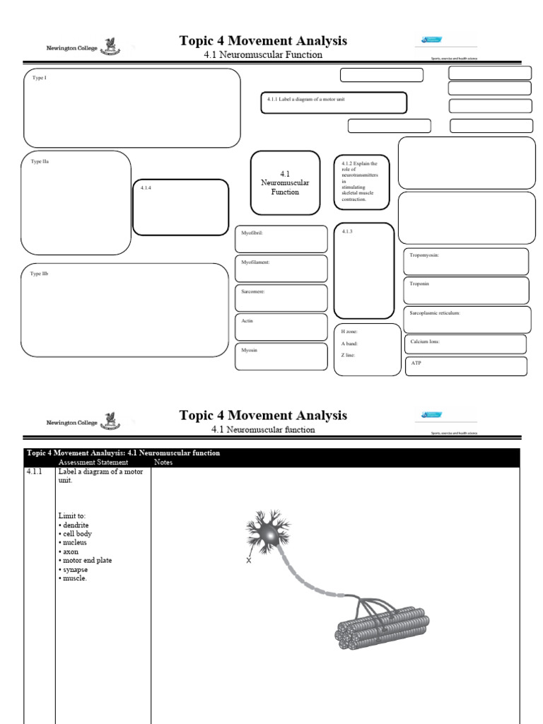 IB SEHS Syllabus Revision Movement Analysis | PDF | Neuromuscular ...