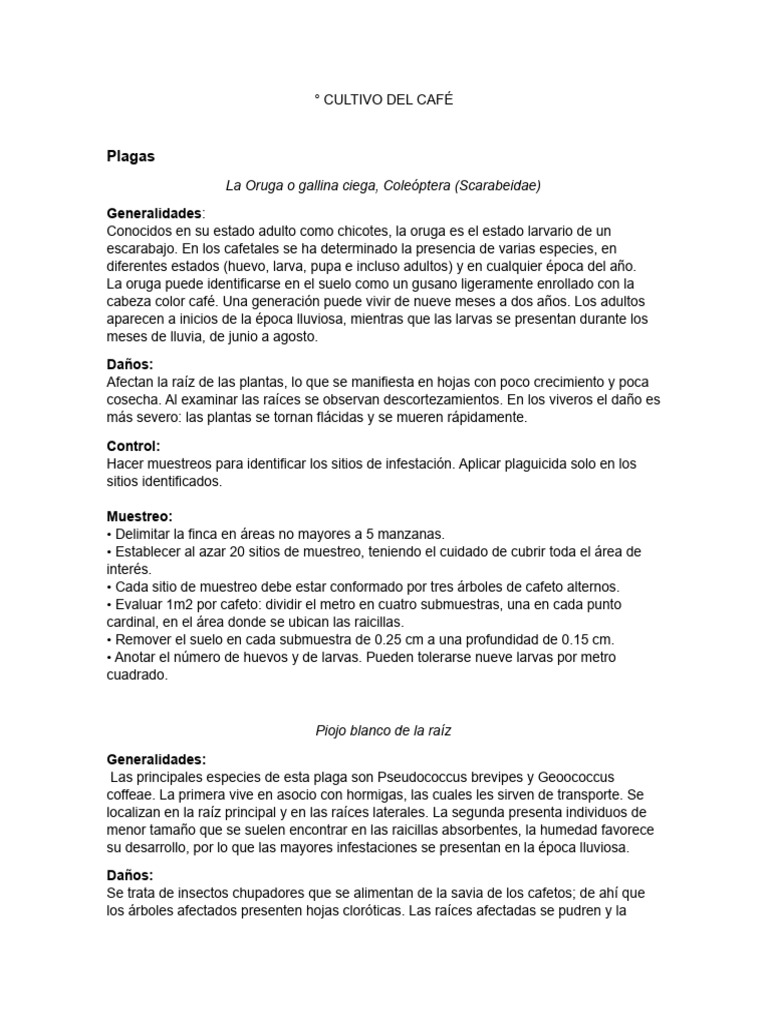 Plagas y Enfermedades | PDF | café | Control biológico de plagas