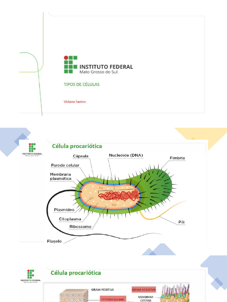 Tipos de Células | PDF