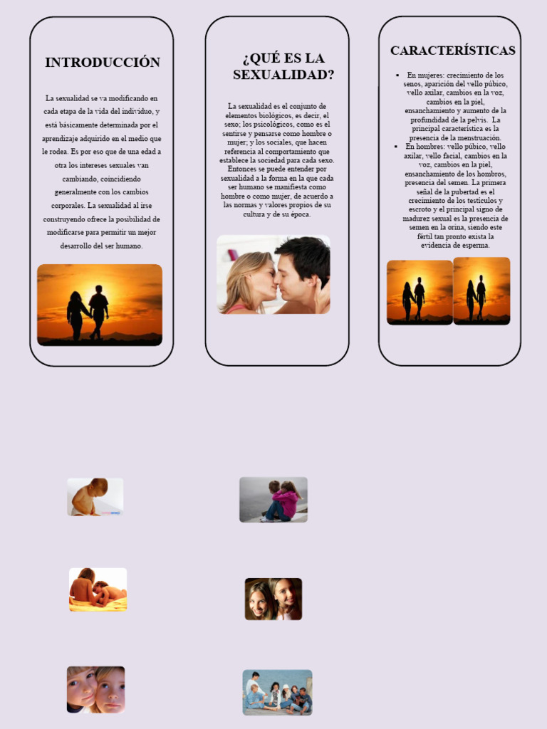 Triptico de La Sexualidad | PDF | La sexualidad humana | Pubertad