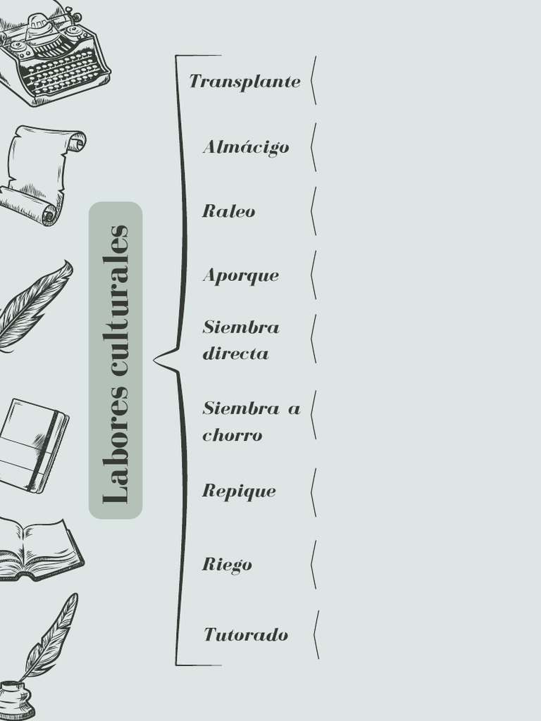 Documento a4 Cuadro Sinóptico Géneros Literarios Ilustrado Gris Azulado ...