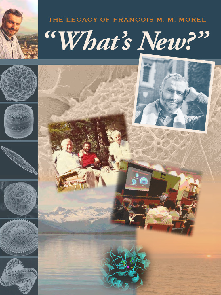 2018 Morel Retirement Brochure | PDF | Ocean Acidification | Carbon Dioxide