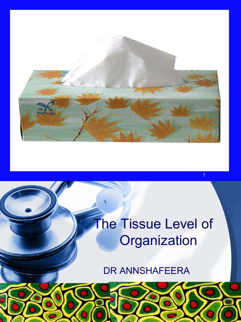 2.3 Histology-Tissue | PDF | Epithelium | Connective Tissue