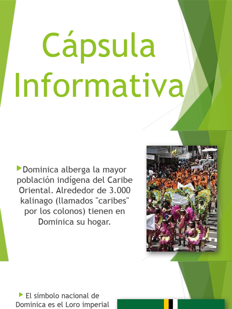 Cápsula Informativa | PDF