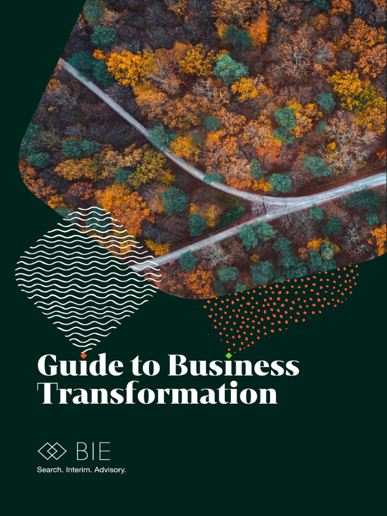 Business Transformation Essentials Guide | PDF | Business | Strategic ...