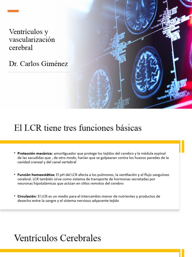 Ventrículos Cerebrales y Vascularización Cerebral | PDF | Fluido cerebroespinal | Cerebro