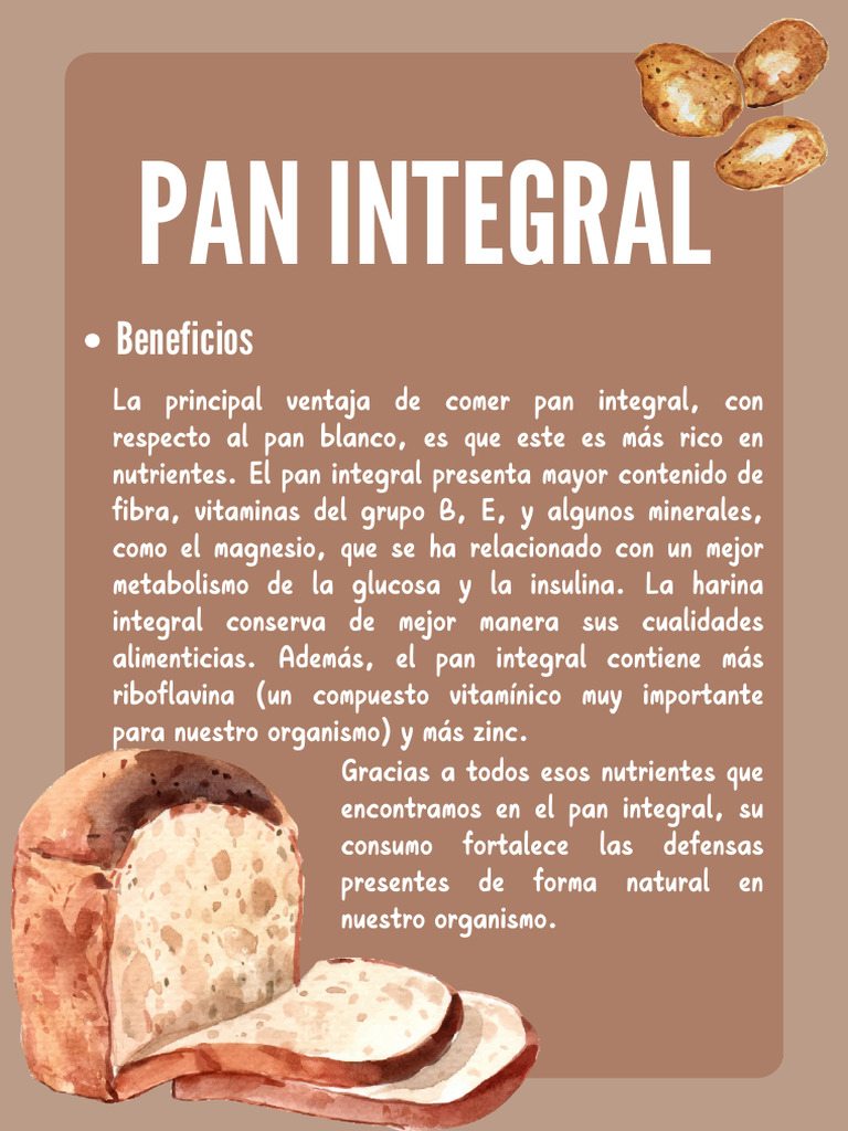 Pan Integral | PDF