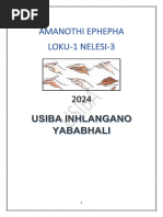 GR 9 ISIZULU lesson plan (1) | PDF