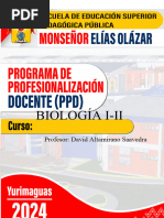 CUESTIONARIO CERTIFICATIVO MORFO HUMANA | PDF | Sistema digestivo humano | Riñón