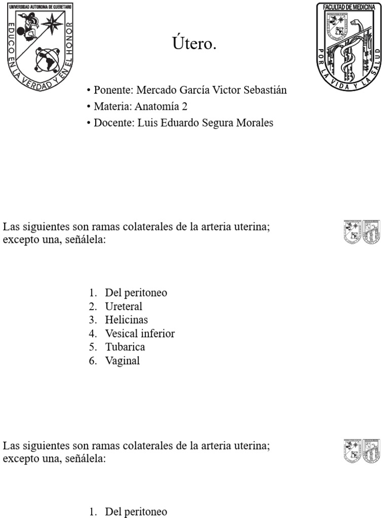 Anatomía del Útero: Ramas y Posiciones | PDF | Pelvis | Útero