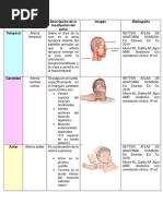 Ubicación del pulso cubital | PDF