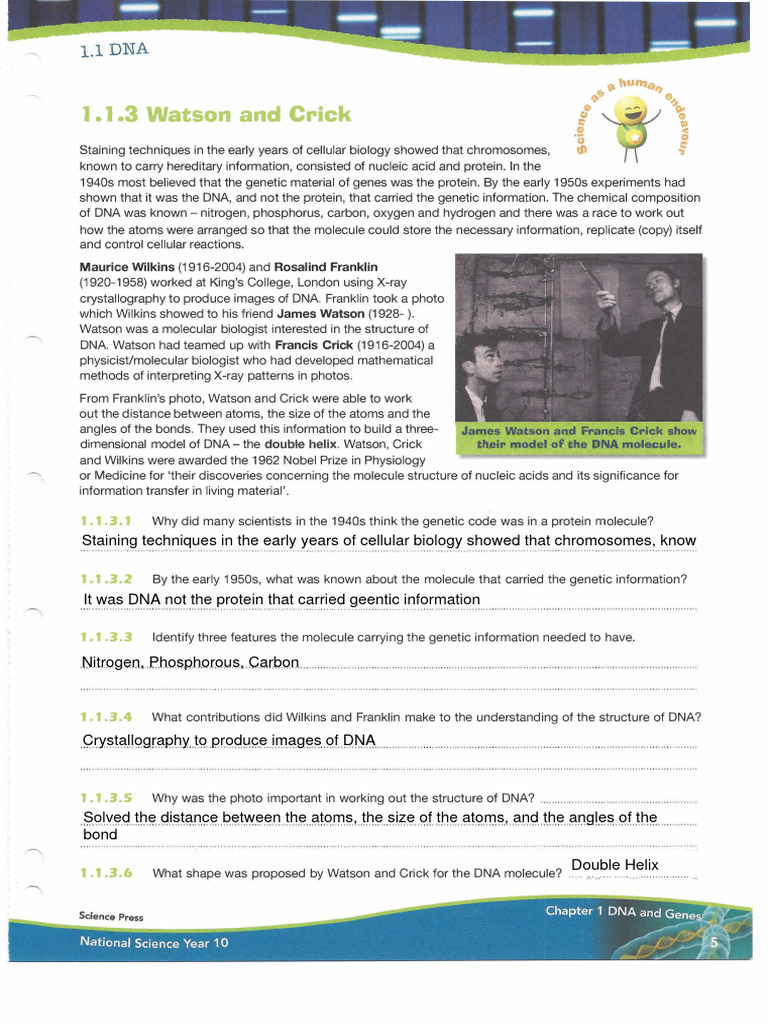 1.1.3 Watson and Crick Form | PDF | Dna | James Watson