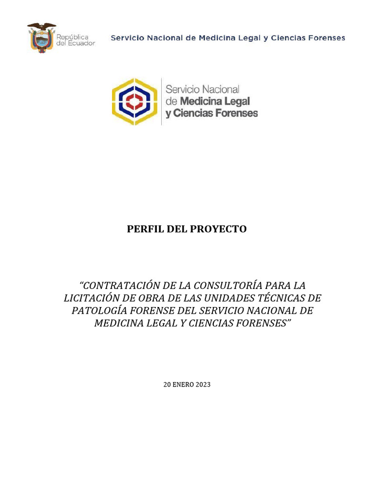 Perfil de Proyecto - Consultoria c2 | PDF | Ciencia forense ...