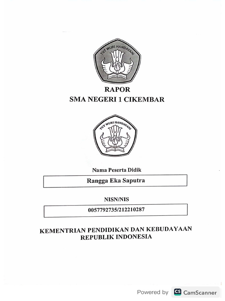 Raport | PDF