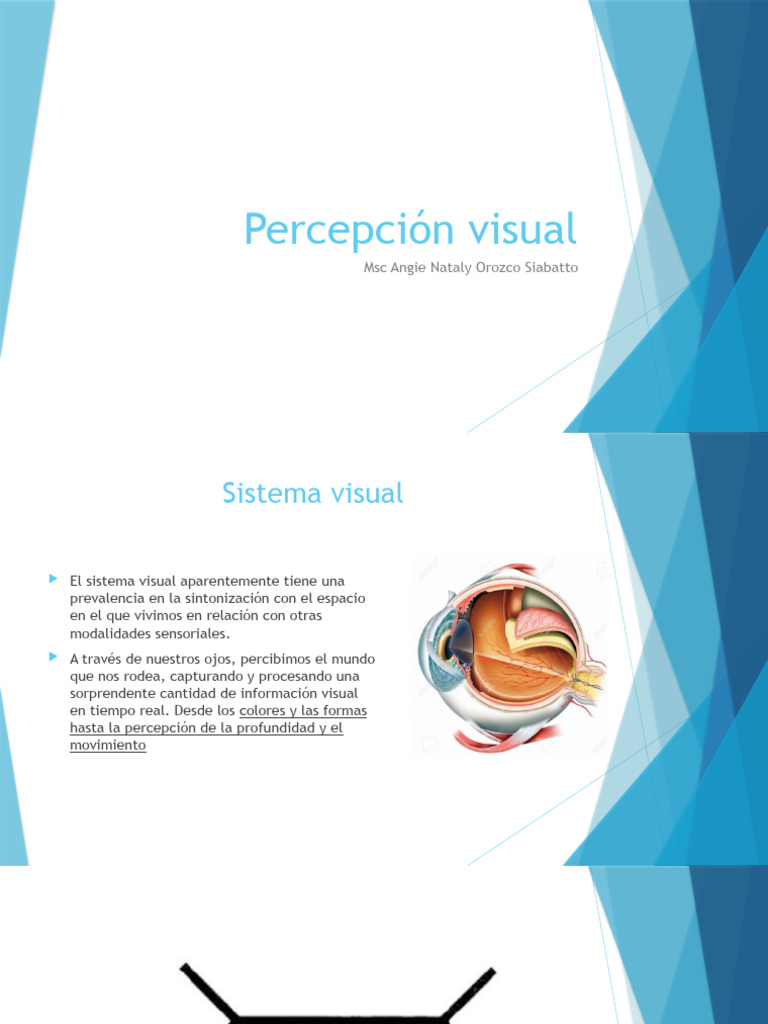 Percepción Visual | PDF | Ojo humano | Olas