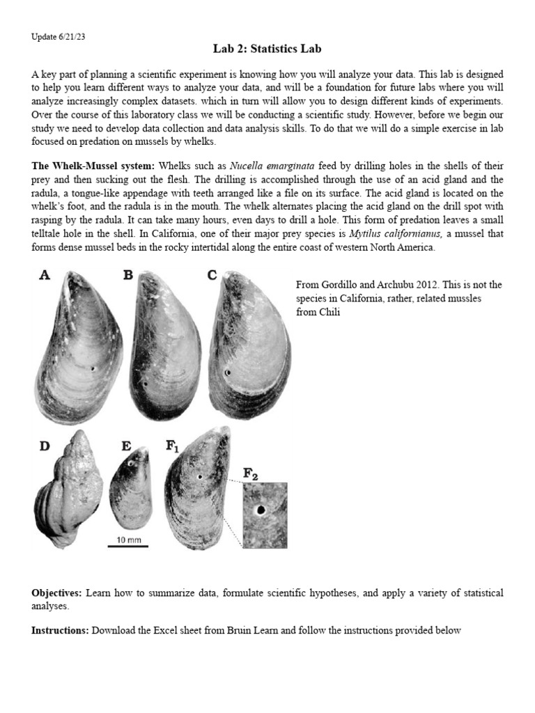 Lab 2 Whelk Mussel Worksheet Su23 | PDF | Chi Squared Test | P Value
