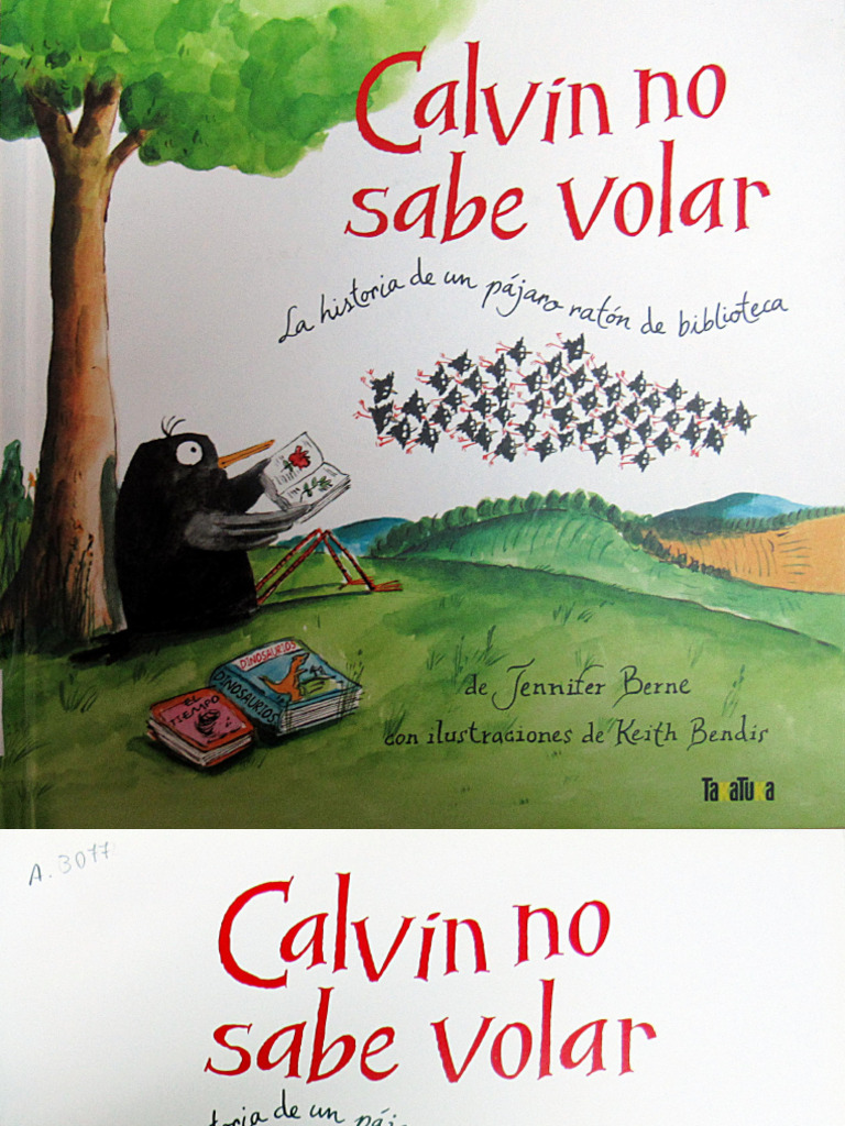 Calvin No Sabe Vol Ar | PDF
