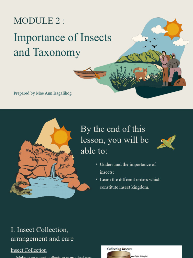 MODULE 2 Importance of Insects and Taxonomy (Prelim) | PDF | Fly | Insects